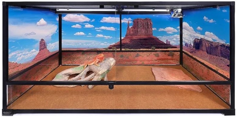 Top 4 Best Bearded Dragon Terrariums, Cages & Tanks - The Reptile Bay