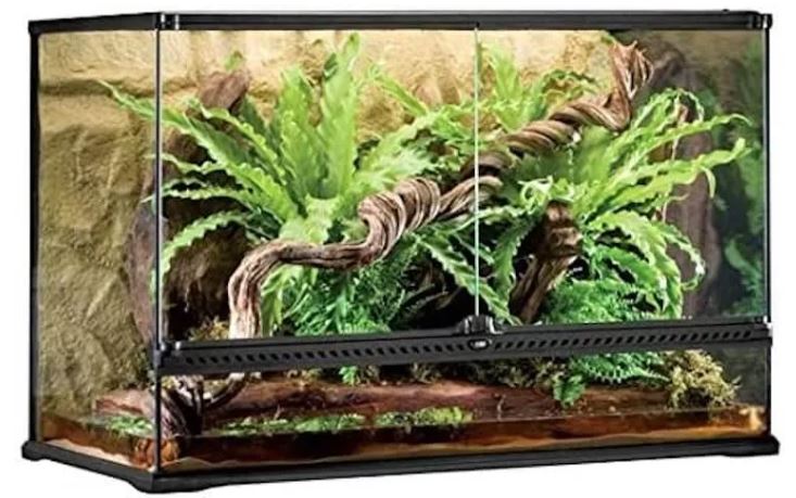 Top 4 Best Bearded Dragon Terrariums, Cages & Tanks - The Reptile Bay