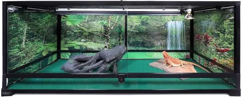 Top 4 Best Bearded Dragon Terrariums, Cages & Tanks - The Reptile Bay