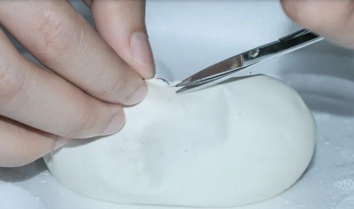 The Complete Ball Python Breeding Guide: Timeline, Incubation... - The ...